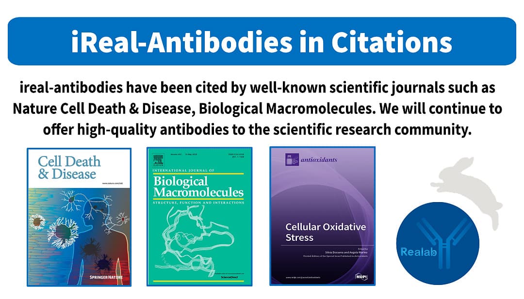 iReal Biotechnology, Inc.