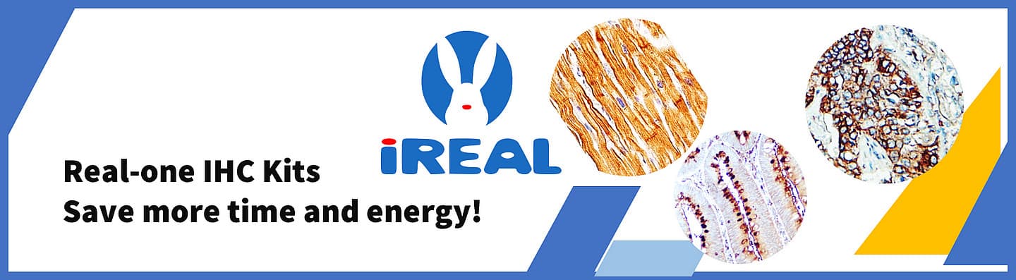 iReal Biotechnology is now ISO 13485:2016 certified in IHC | iReal Biotechnology, Inc.