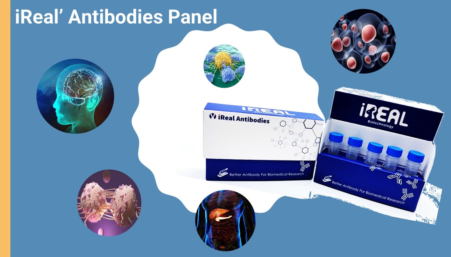 iReal’Antibodies Panel Kits | iReal Biotechnology, Inc.