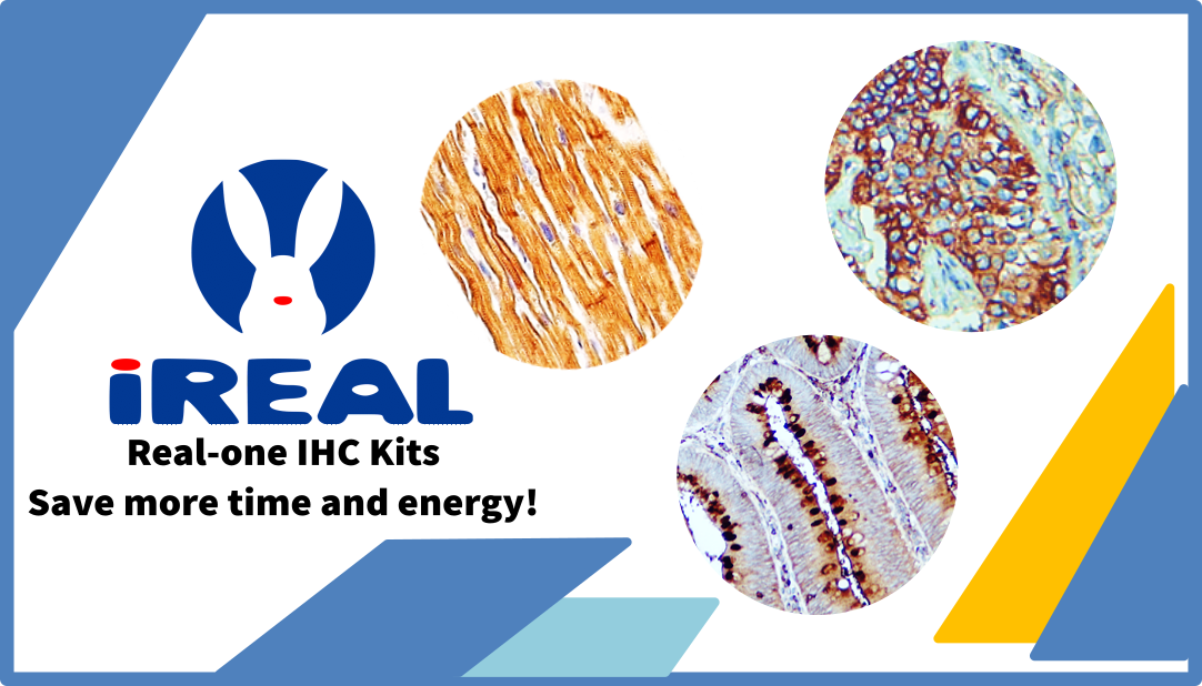 iReal Biotechnology is now ISO 13485:2016 certified in IHC | iReal Biotechnology, Inc.