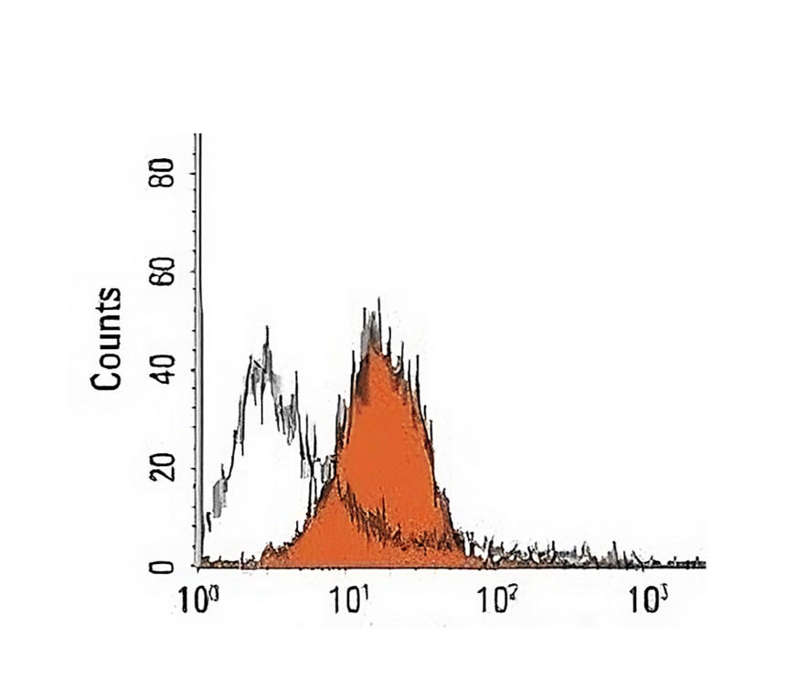 Mouse anti-rabbit IgG, PE Conjugated (IRFS4052) | iReal Biotechnology, Inc.